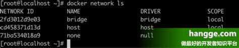 Docker 网络使用详解1（原生网络介绍：none、host、bridge） 你我博客