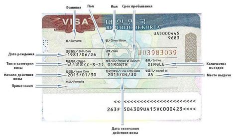 Как получить визу F4 в Южную Корею для россиян необходимые документы и образец заполнения