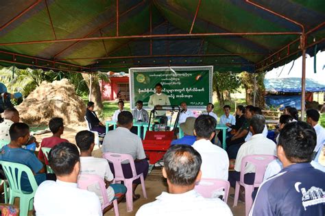 ကော့သောင်းမြို့နယ် သမဝါယမဦးစီးဌာနအနေဖြင့် နိုင်ငံစီးပွားမြှင့်တင်ရေး မြစိမ်းရောင် စီမံကိန်းဖ