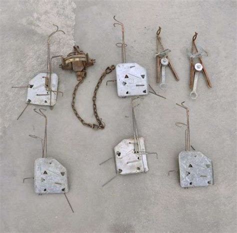 H 583 Gopher Traps Pickett Auction Service