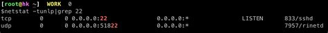 netstat常见用法 csdn博客