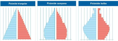 Piramides De Poblacion 1st Grade Quiz Quizizz