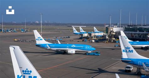 공항 타르 위에 앉아 있는 파란색과 흰색 제트 여객기 그룹 사진 Unsplash의 무료 스키폴 공항 이미지