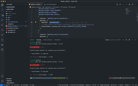 Bug While Using Envdevelopment For Providing Accesstoken · Gatsbyjs Gatsby · Discussion 29203