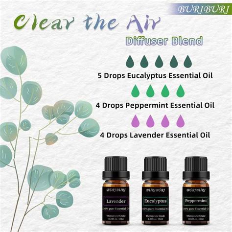 Peppermint Essential Oil Diffuser Cats At Bobby Mosca Blog