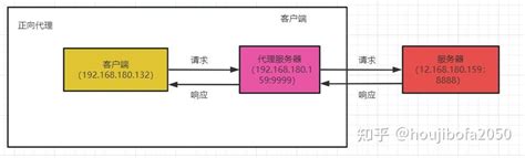 Golang 实现正向代理客户端 知乎