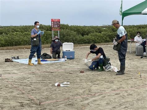 台南黑面琵鷺救傷演練 提升野鳥救護應變能力 寶島 中時