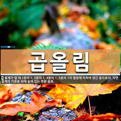 곱올림 뜻 물체가 떨 때 2분의 1 3분의 1 4분의 1 5분의 1의 떨림에 의하여 생긴 음으로