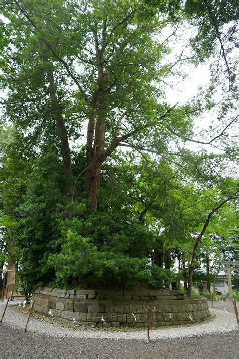 玉前神社長生郡一宮町はだしの道さざれいし ちょディーなスポッと