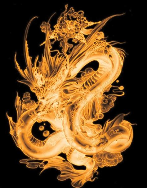 龙的资料简单介绍（龙是什么？到底有没有龙？） 说明书网