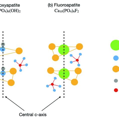 Demineralization And Remineralization Processes A Enamel Is Healthy Download Scientific