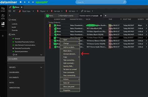 view all elements and services that are masked dataminer dojo