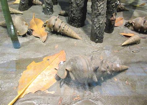 貴重なミイラが見られる！上野公園内にある「国立科学博物館」の見どころを徹底調査！②【日本館】 いろはめぐり