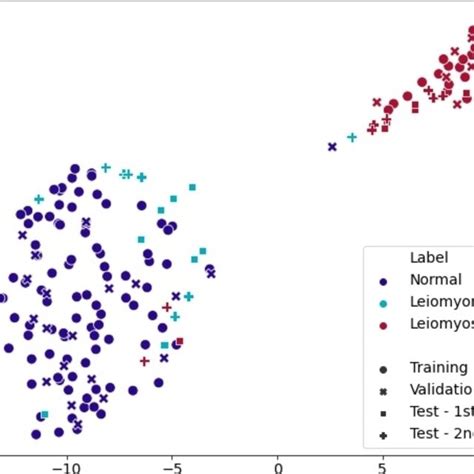 Visualization Of The Last Hidden Layer Of Dnn Classifier The T Sne