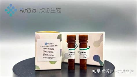 人外周血cd3 T细胞分选试剂 知乎