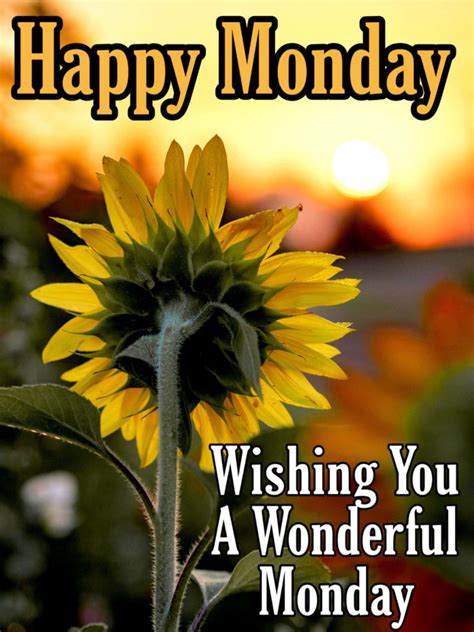 66 Happy Monday Wallpapers Backgrounds Hd