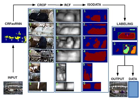 Flowchart Of The Dataset Construction And Naive Segmentation Pipeline Download Scientific