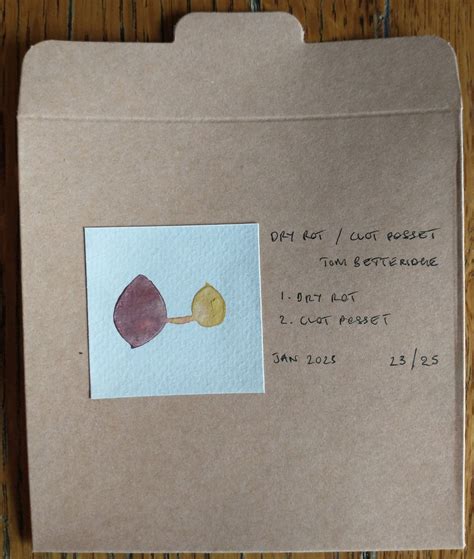 Dry Rot Clot Posset Tom Betteridge