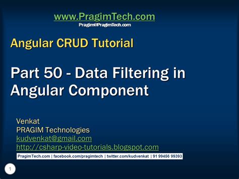 Sql Server Net And C Video Tutorial Data Filter In Angular