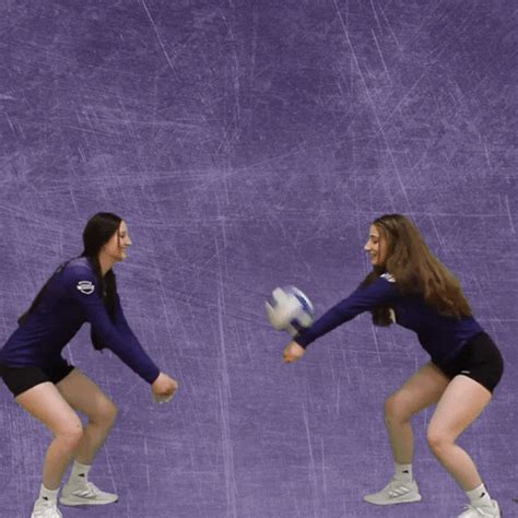 2021 Volleyball S On Giphy Be Animated