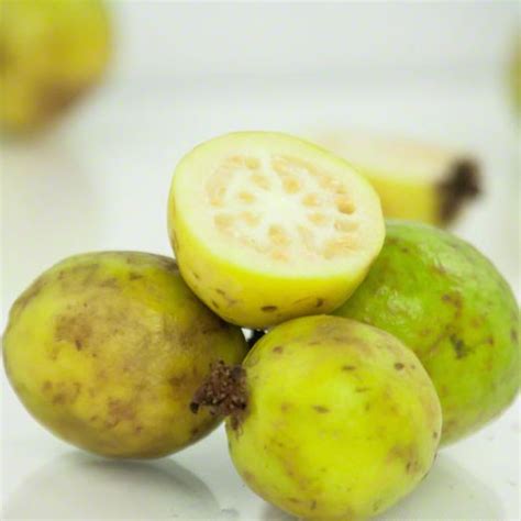 Guava Organic Flavor Emulsion For High Heat Applications Newport Flavours