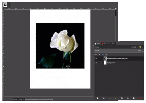 Create A Splash Effect Photo Manipulation In Gimp Zakey Design