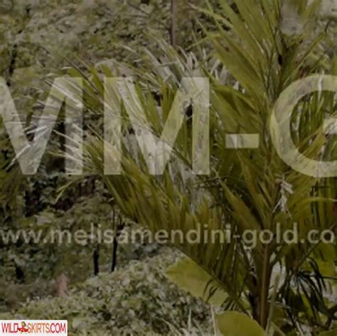 Melisa Mendini Nude Leaked Photos And Videos Wildskirts