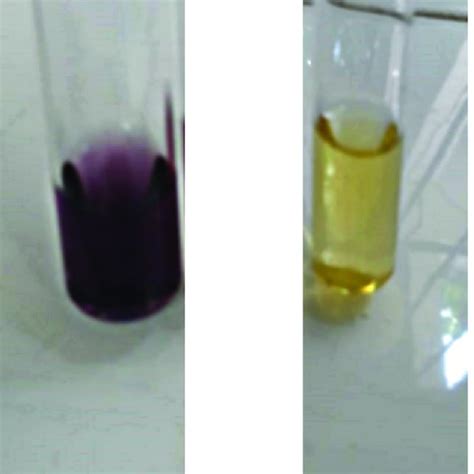 Antioxidant Assay By Dpph Negative Control Left Dpph Methanol