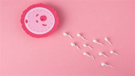 Infertility Among Men Know The Factors Affecting Sperm Count And More Asianet Newsable