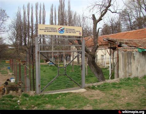 Общински приют за безстопанствени кучета