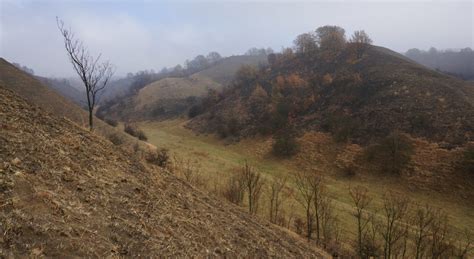Zagajička Brda 1903 Psd Stara Pazova