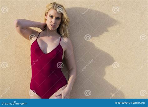Blonde Bikini Model Stock Image Image Of Holiday Fashion 201029015