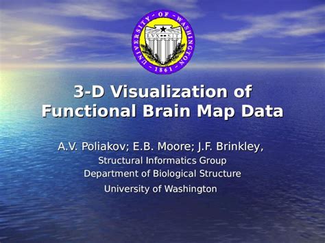 PPT 3 D Visualization Of Functional Brain Map Data DOKUMEN TIPS
