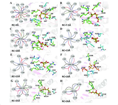Representative Structures In The Dissociation Process Of The Download Scientific Diagram