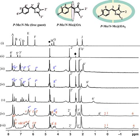 Top Structures Of The Guest Host Guest Complexes And Numbering Of Download Scientific
