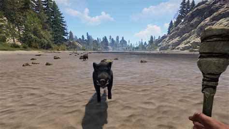 How To Get Food In Rust And Avoid Starvation GamesRadar