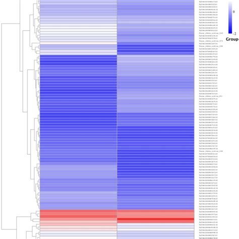 The Relative Expression Pattern Of Bhlh Transcription Factor Among Degs Download Scientific