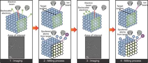 Sequential Imaging And Milling Processes Of Fib Sem Tomography