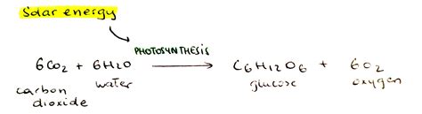 Light Dependent Reaction Equation