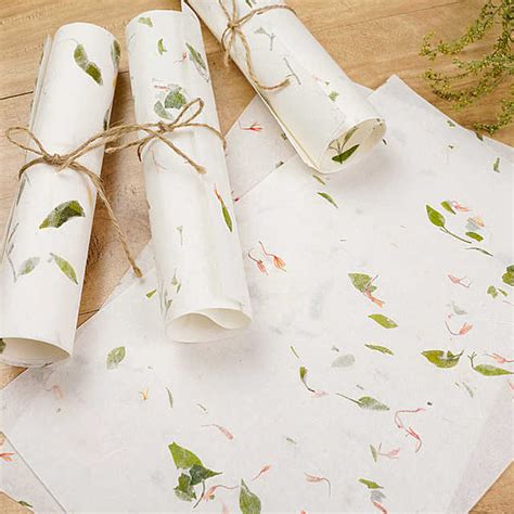 自然植物花草信纸 茶叶清香宣纸 创意书法用 堆糖美图壁纸兴趣社区