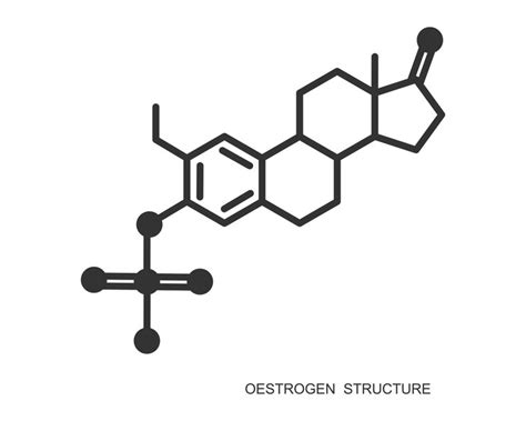 Icono De Estrógeno Estructura Molecular Química Del Estrógeno Signo