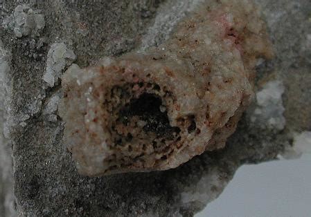 Meteorite Times Magazine Articles Meteorites Tektites Meteorite Dealers Links Classifieds