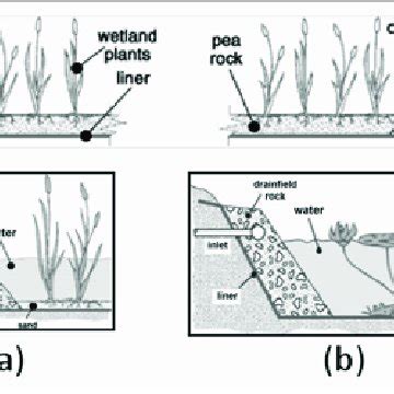 Subsurface Flow Constructed Wetland Above And Surface Flow Wetland Download Scientific