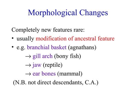 Lecture 20 Morphological Changes In Macroevolution PPT
