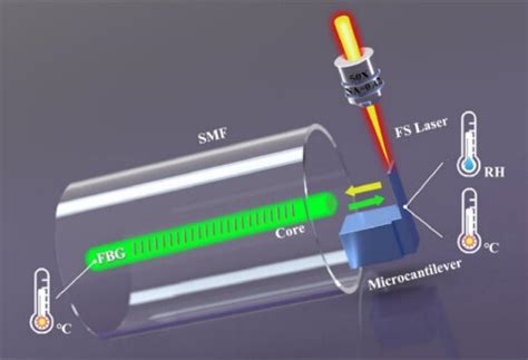 Schematic Diagram Of The All Fiber Sensor For Simultaneously Measuring Download Scientific