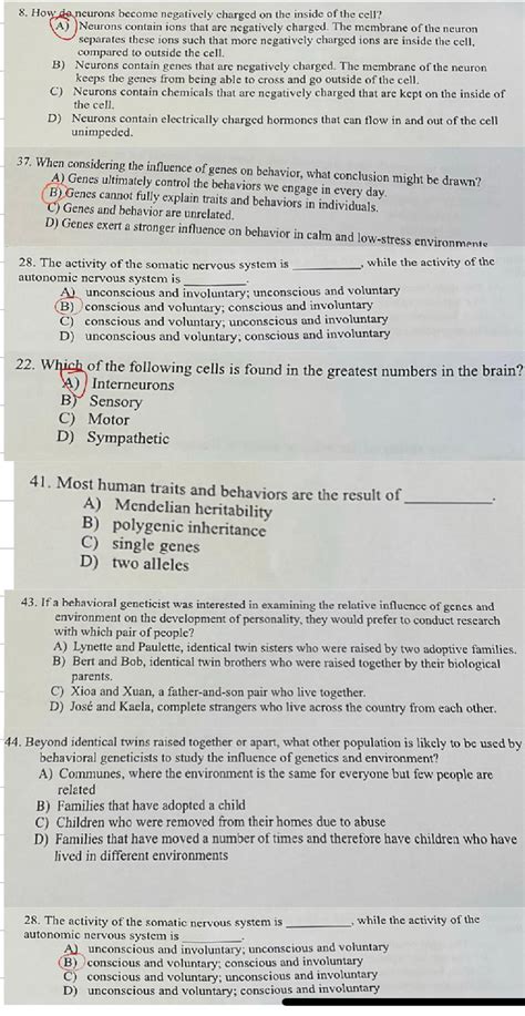 8 How De Neurons Become Negatively Charged On The