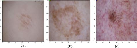 Figure 1 From The Forward Forward Algorithm As A Feature Extractor For