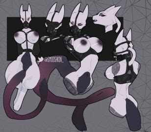 Rule34 If It Exists There Is Porn Of It Mewtwo