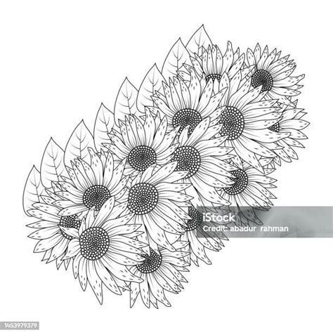 해바라기 벡터 개요 피는 꽃잎과 나뭇잎 꽃 그림의 색칠 페이지 0명에 대한 스톡 벡터 아트 및 기타 이미지 0명 검은색
