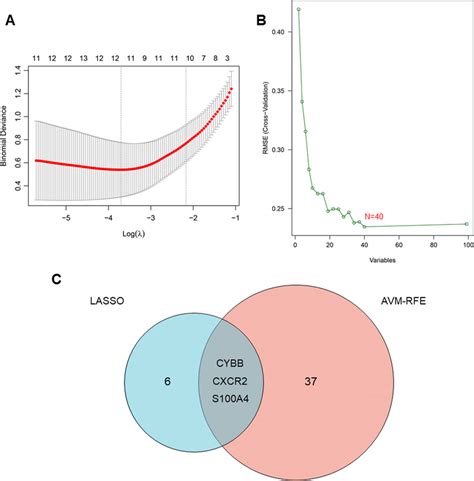 Identification Of Biomarker Candidates For Af Based On Machine Learning